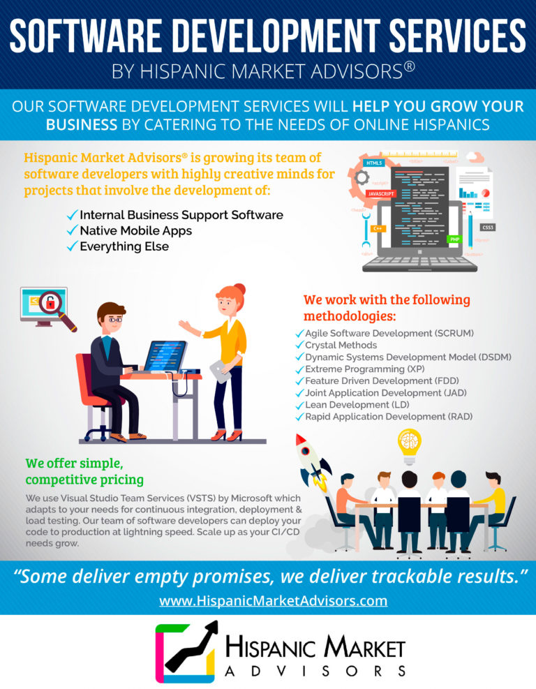 software-development-infographic